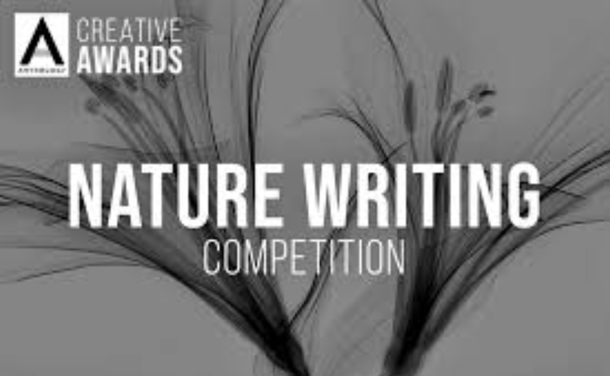 選集自然寫作比賽 2024 Anthology Nature Writing Competition - 2024 - 獎金獵人