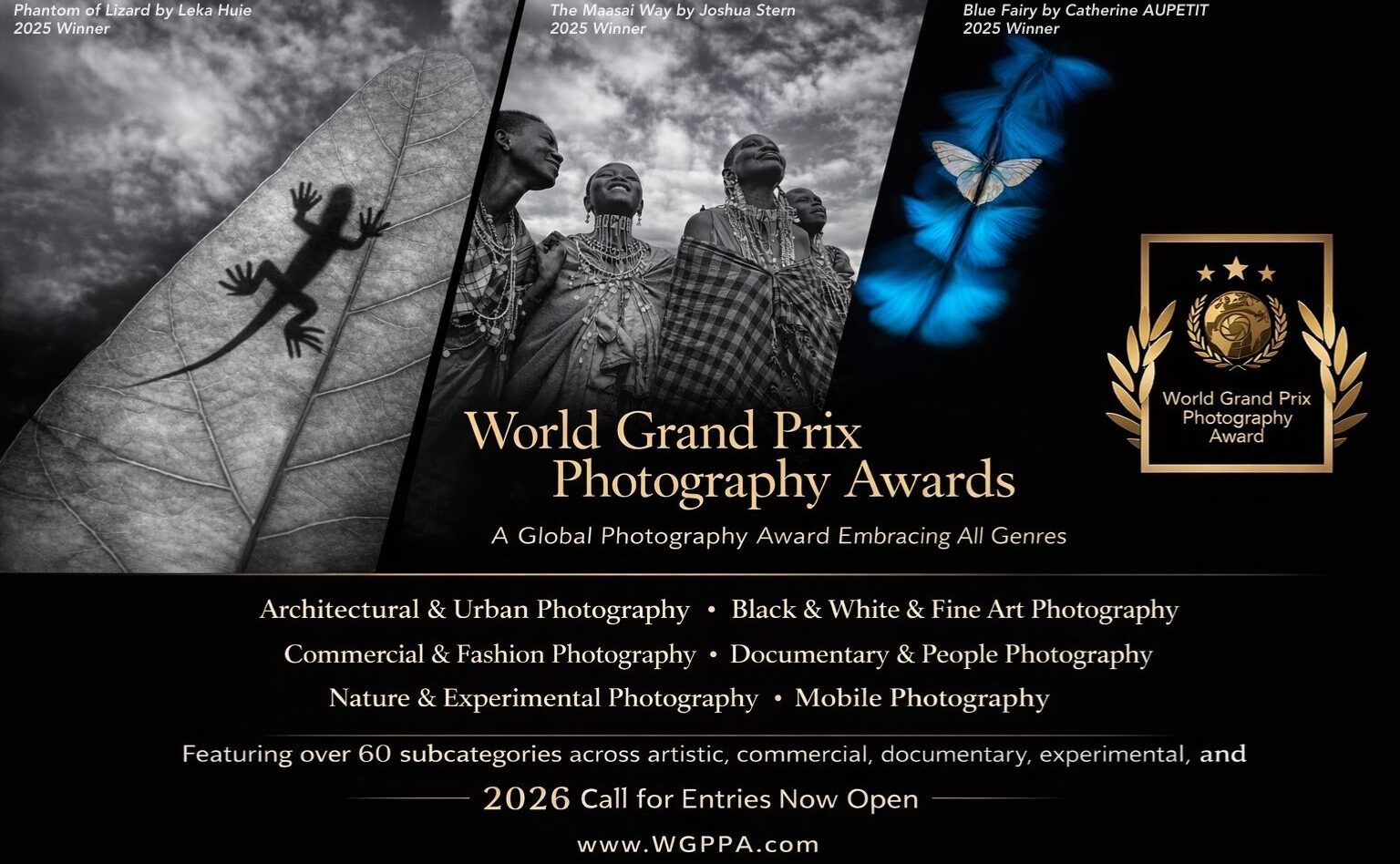 世界攝影大獎賽 (World Grand Prix Photography Award) - 比賽 - 獎金獵人