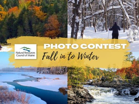 Fall in to Winter Photo Contest 參加冬季攝影比賽 - 比賽 - 獎金獵人