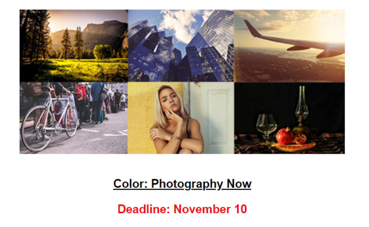 Color: Photography Now 顏色: 現在攝影 - 2023 - 獎金獵人