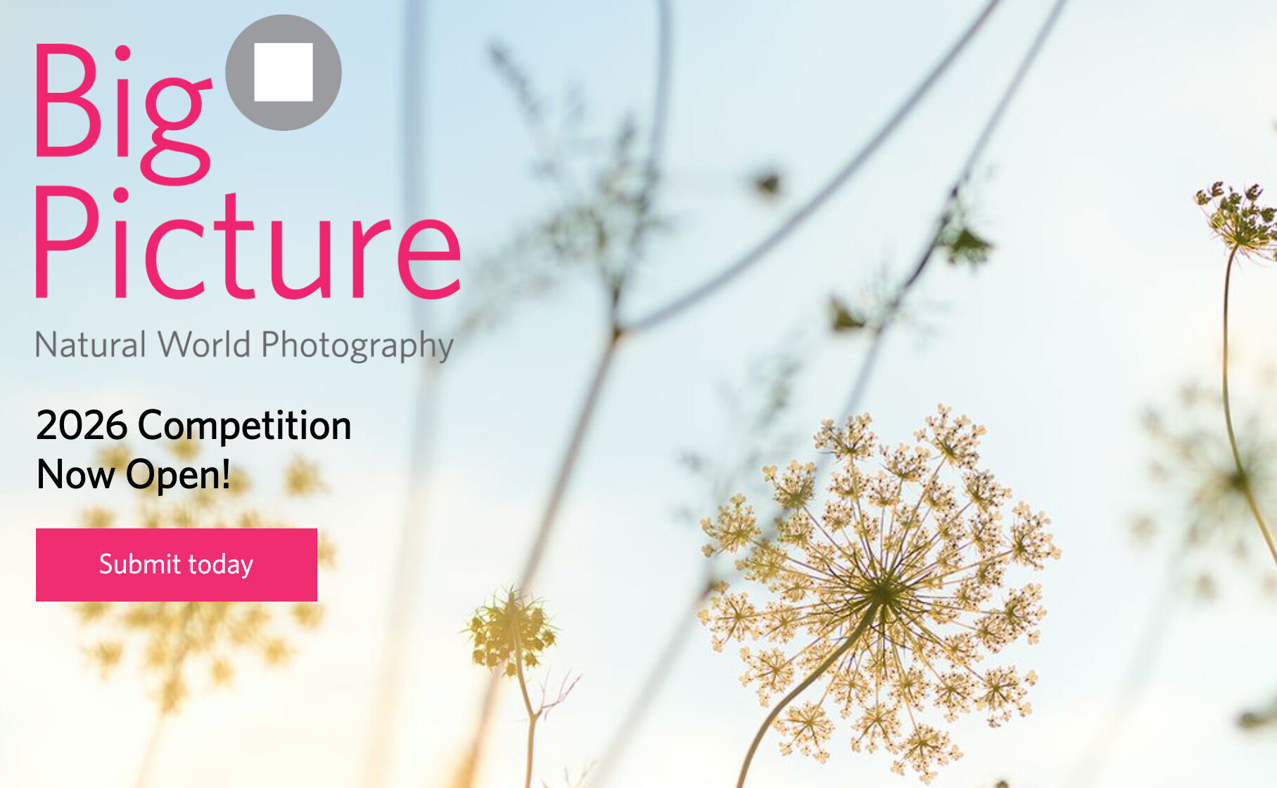 The BigPicture Photo Competition (BPPC) - 比賽 - 獎金獵人