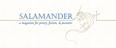 Salamander 2014 Fiction Prize - Contest - Bounty Hunter