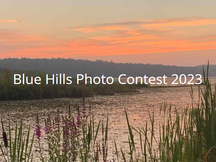 Blue Hills Photo Contest 2023 2023 年藍山攝影大賽 - 比賽 - 獎金獵人