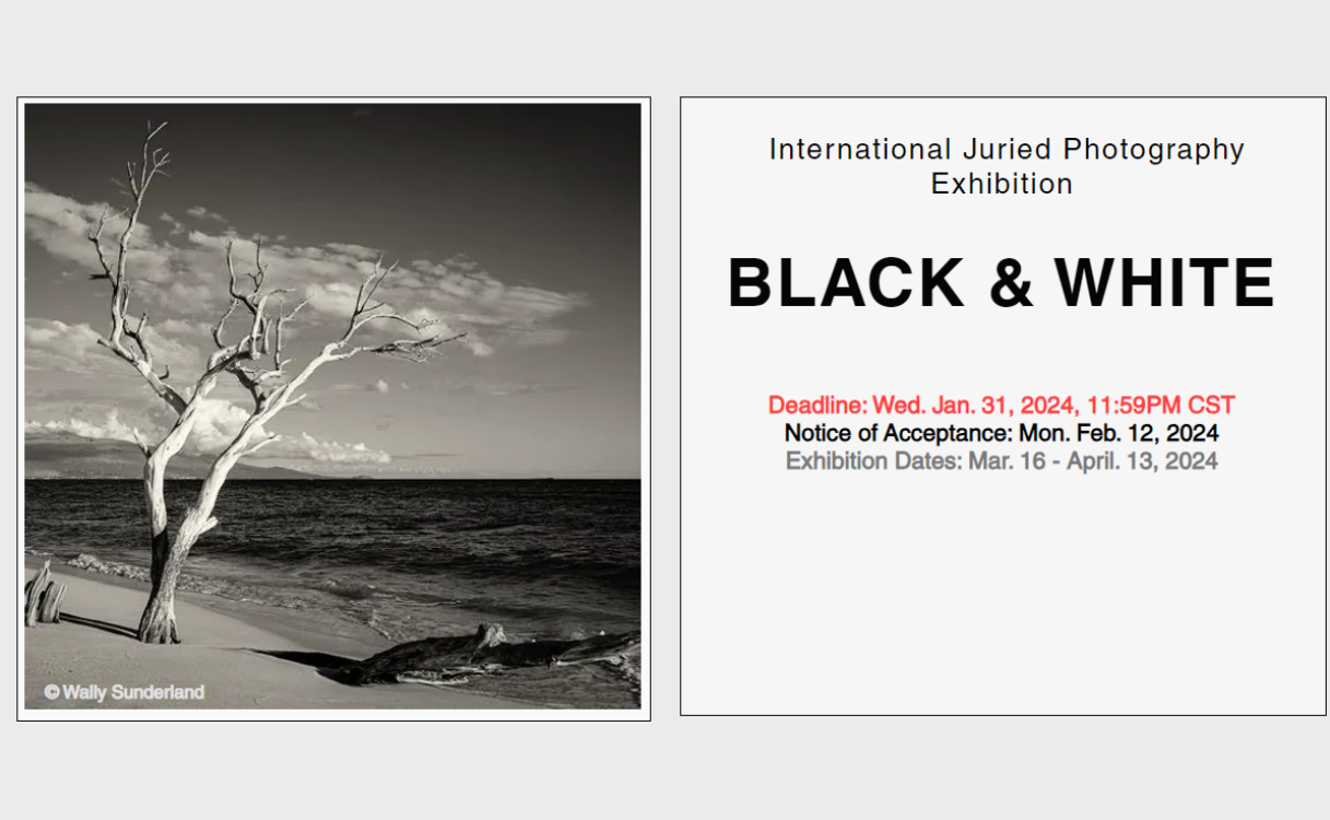 International Juried Photography Exhibition:BLACK & WHITE 國際評審攝影展：黑與白 ...